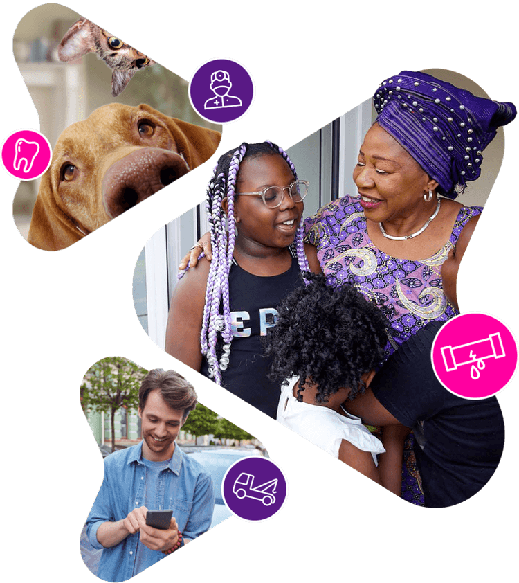 Policy Expert: Home, Pet and Car Insurance